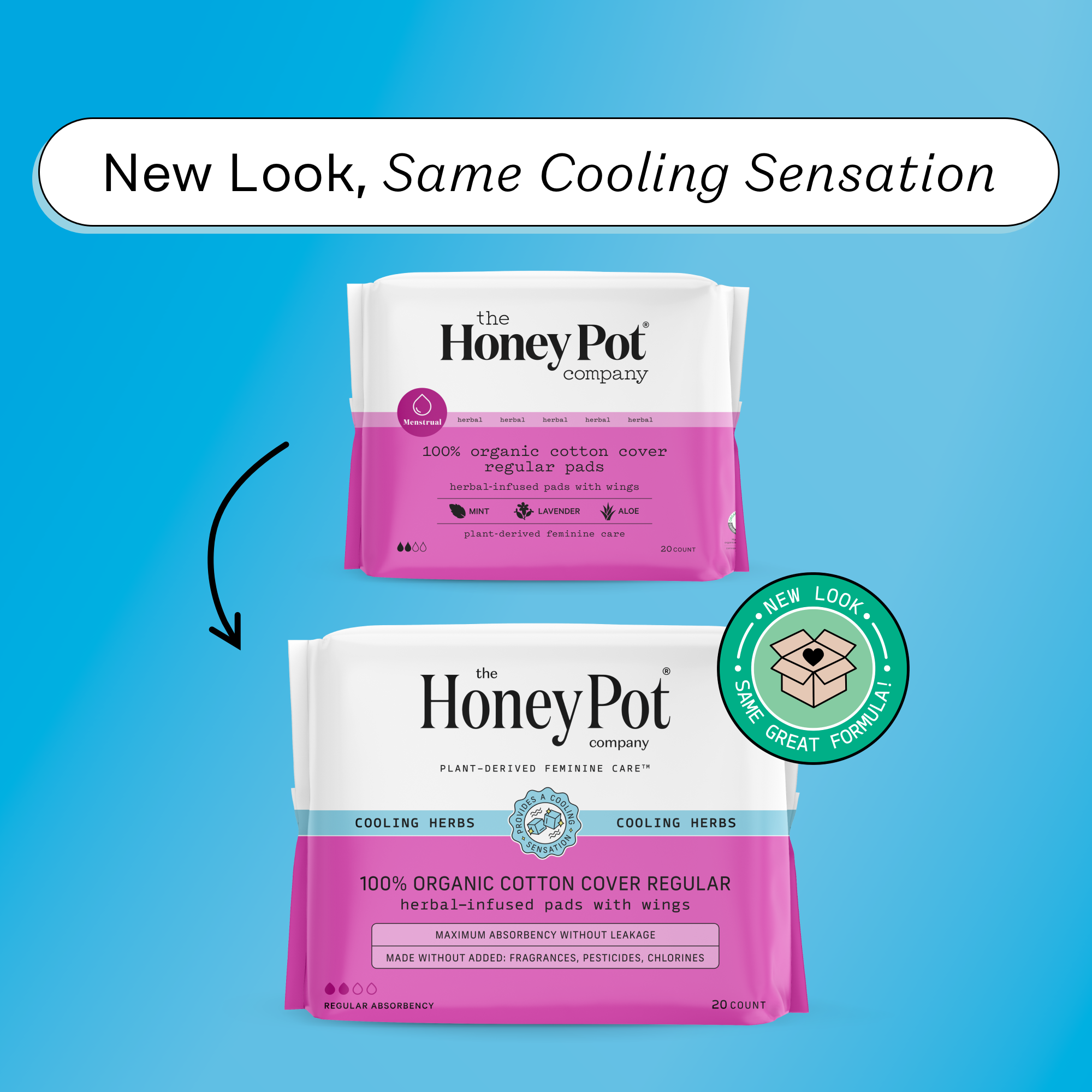 Regular Pads with Wings | Herbal Sanitary Pads – The Honey Pot ...
